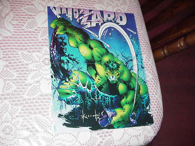 Hulk Poster # 1 by Sam Kieth The Maxx Indestructible - Bidrevolution