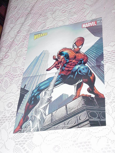 Spider-Man Poster #29 Mike Deodato Jr Amazing - Bidrevolution