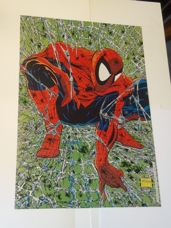 Spider-Man Poster #68 Web Poster Todd McFarlane - Bidrevolution
